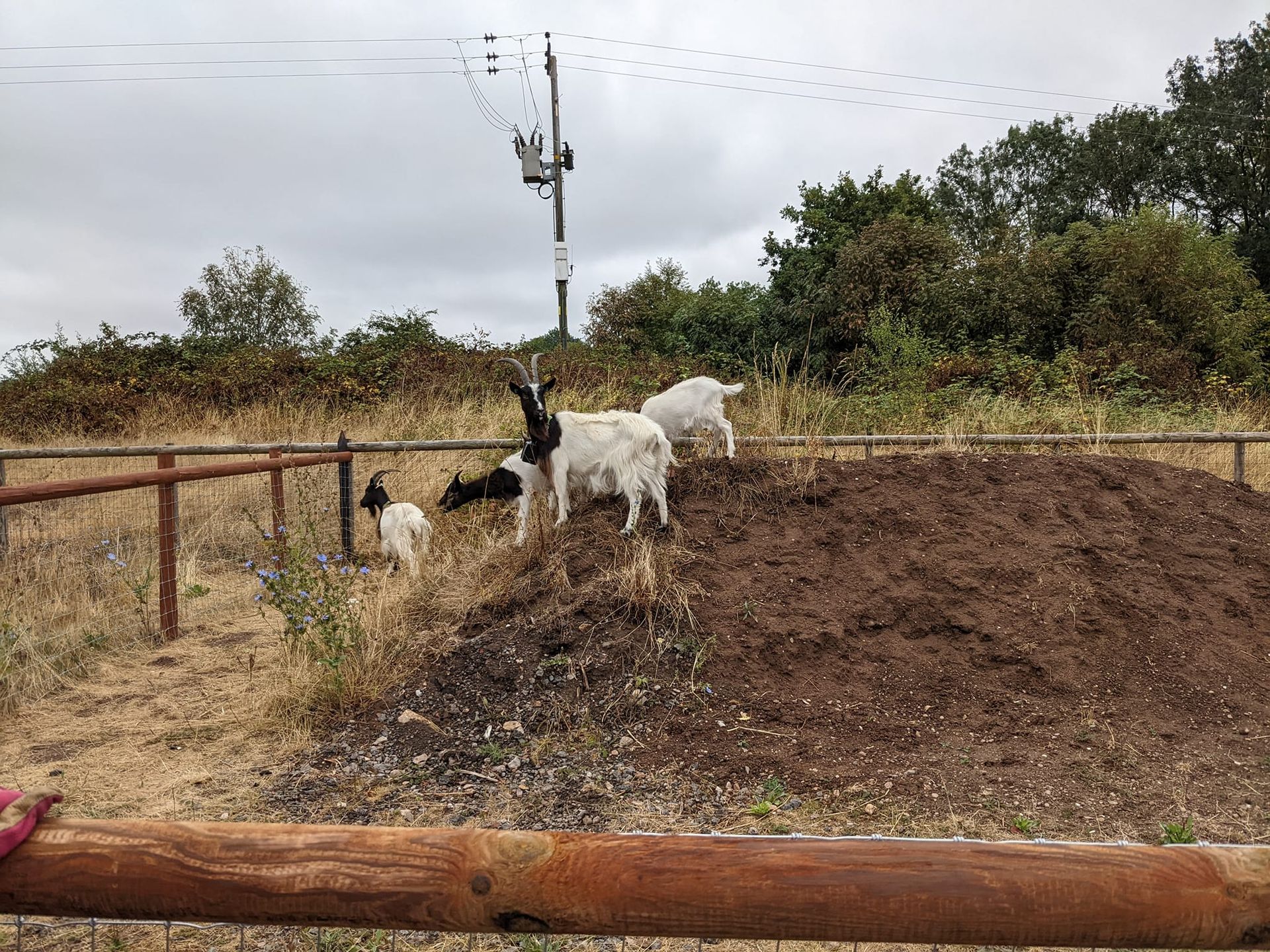 Wildgoose Rural Training & Nature Reserve | Worcester