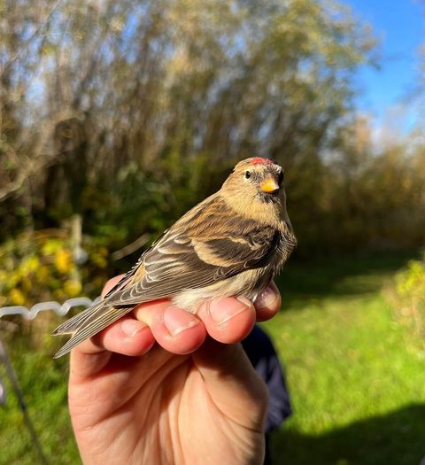 Wildgoose Rural Training & Nature Reserve | Worcester