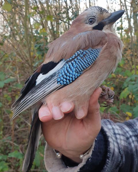 Wildgoose Rural Training & Nature Reserve | Worcester