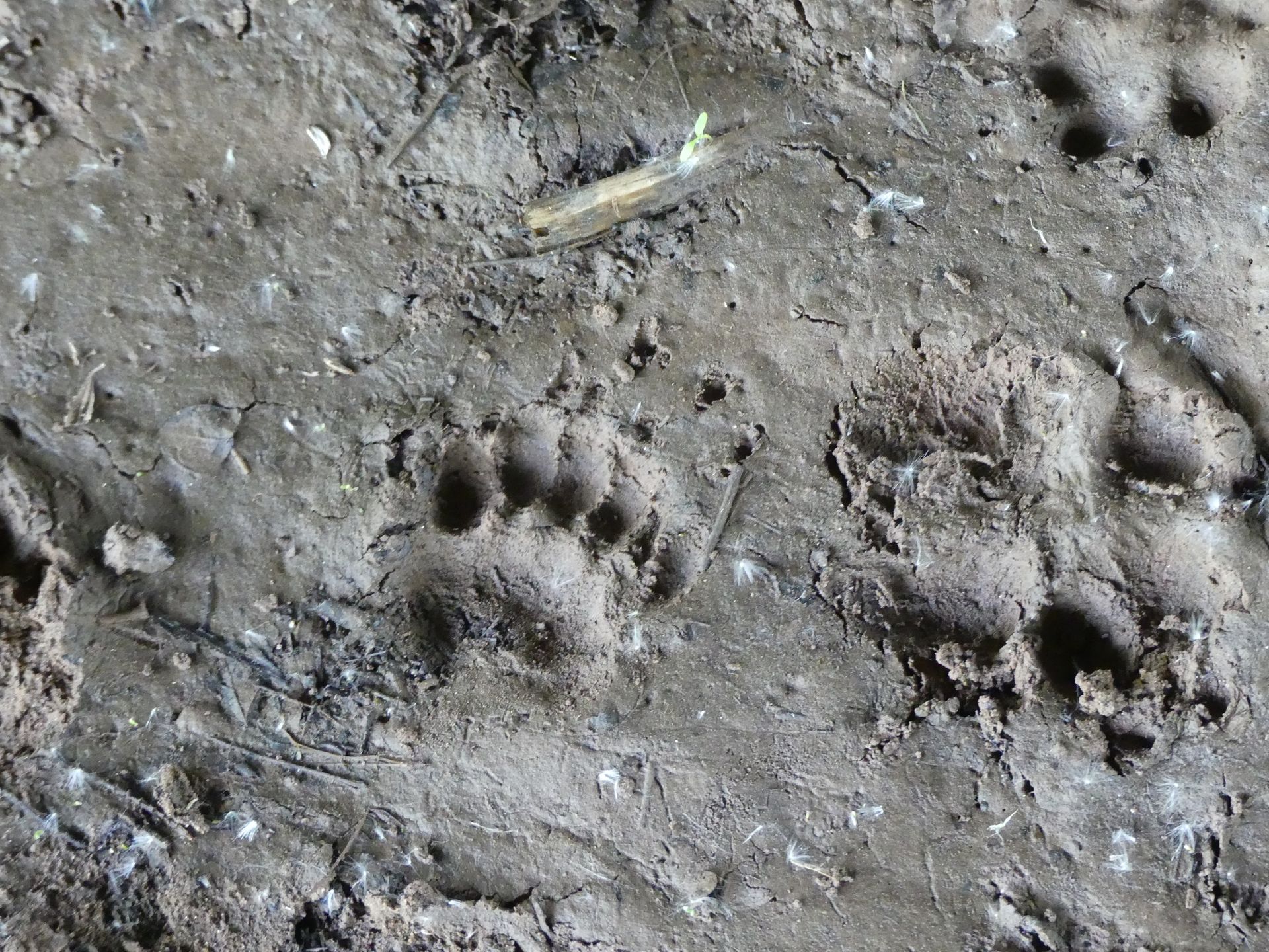 Wildgoose Rural Training & Nature Reserve | Worcester