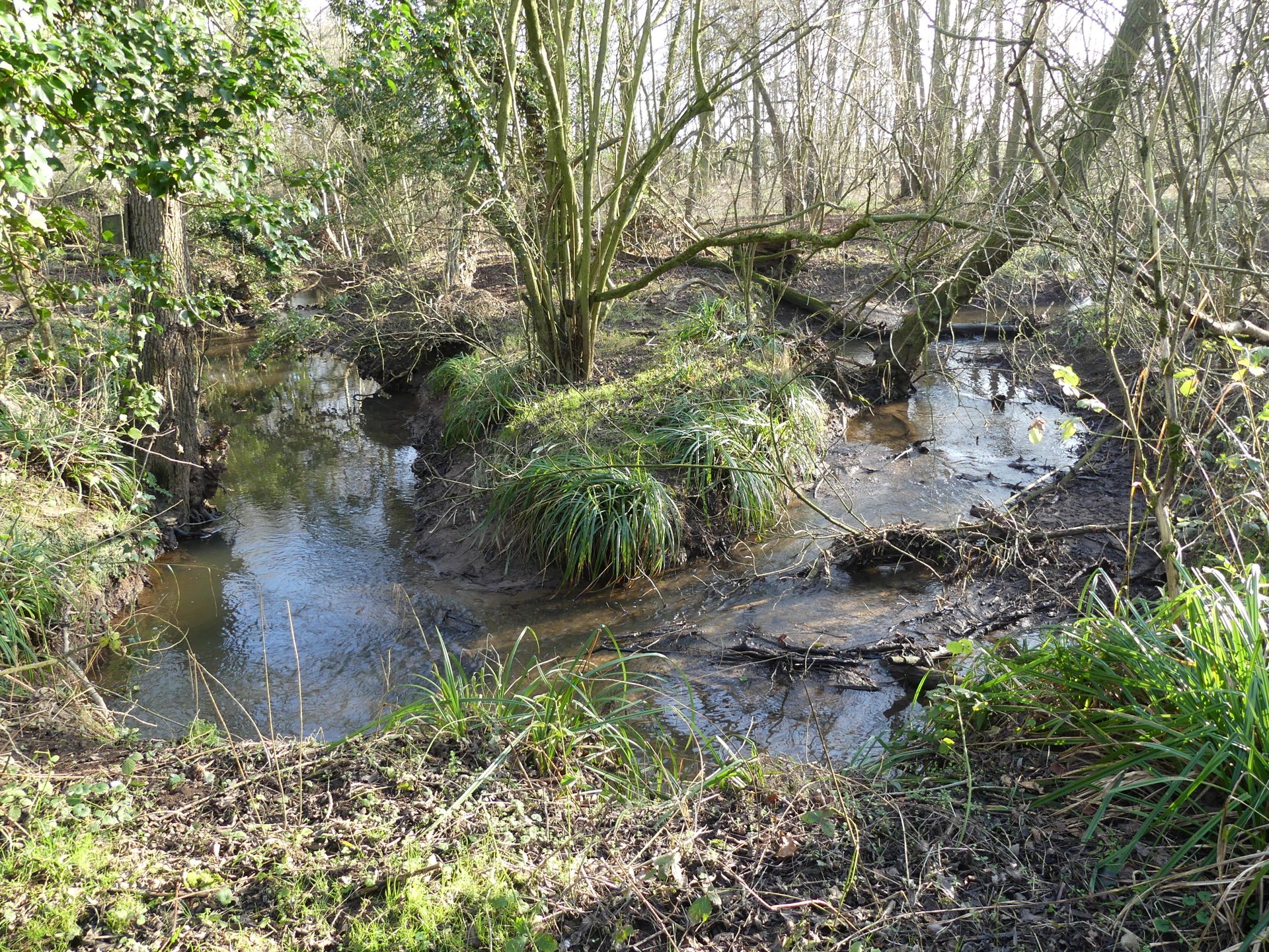 Wildgoose Rural Training & Nature Reserve | Worcester
