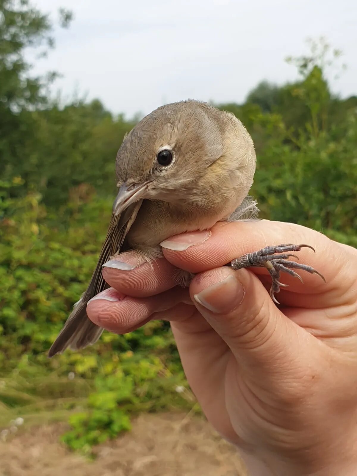Wildgoose Rural Training & Nature Reserve | Worcester