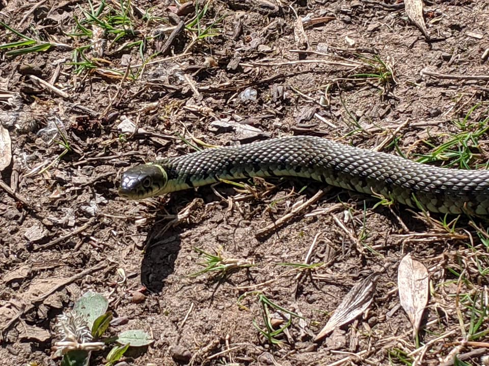 Wildgoose Rural Training & Nature Reserve | Worcester
