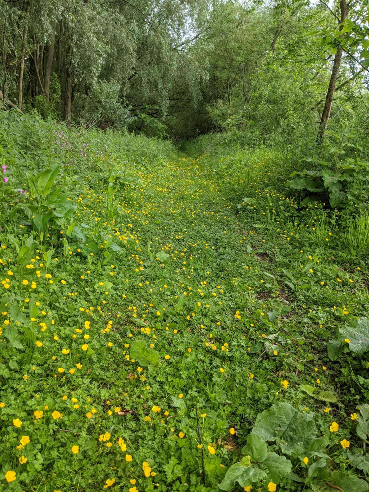 Wildgoose Rural Training & Nature Reserve | Worcester