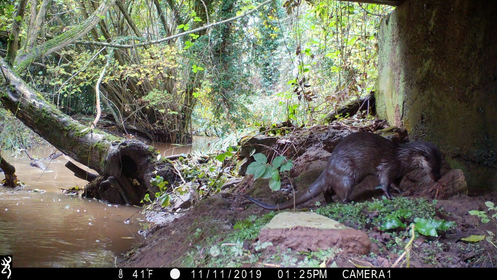 Wildgoose Rural Training & Nature Reserve | Worcester