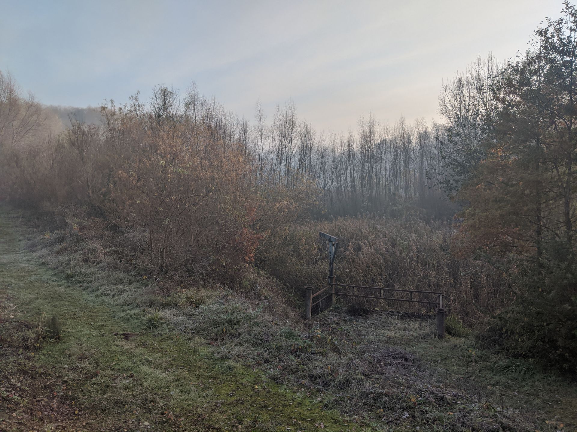 Wildgoose Rural Training & Nature Reserve | Worcester