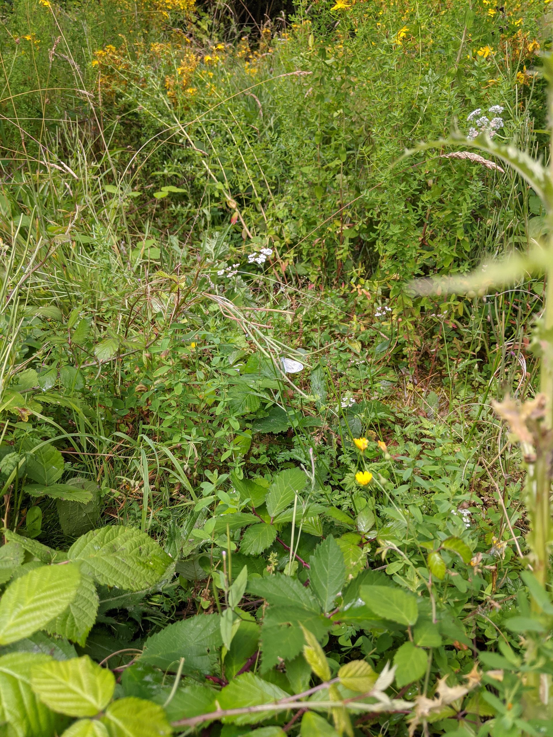 Wildgoose Rural Training & Nature Reserve | Worcester