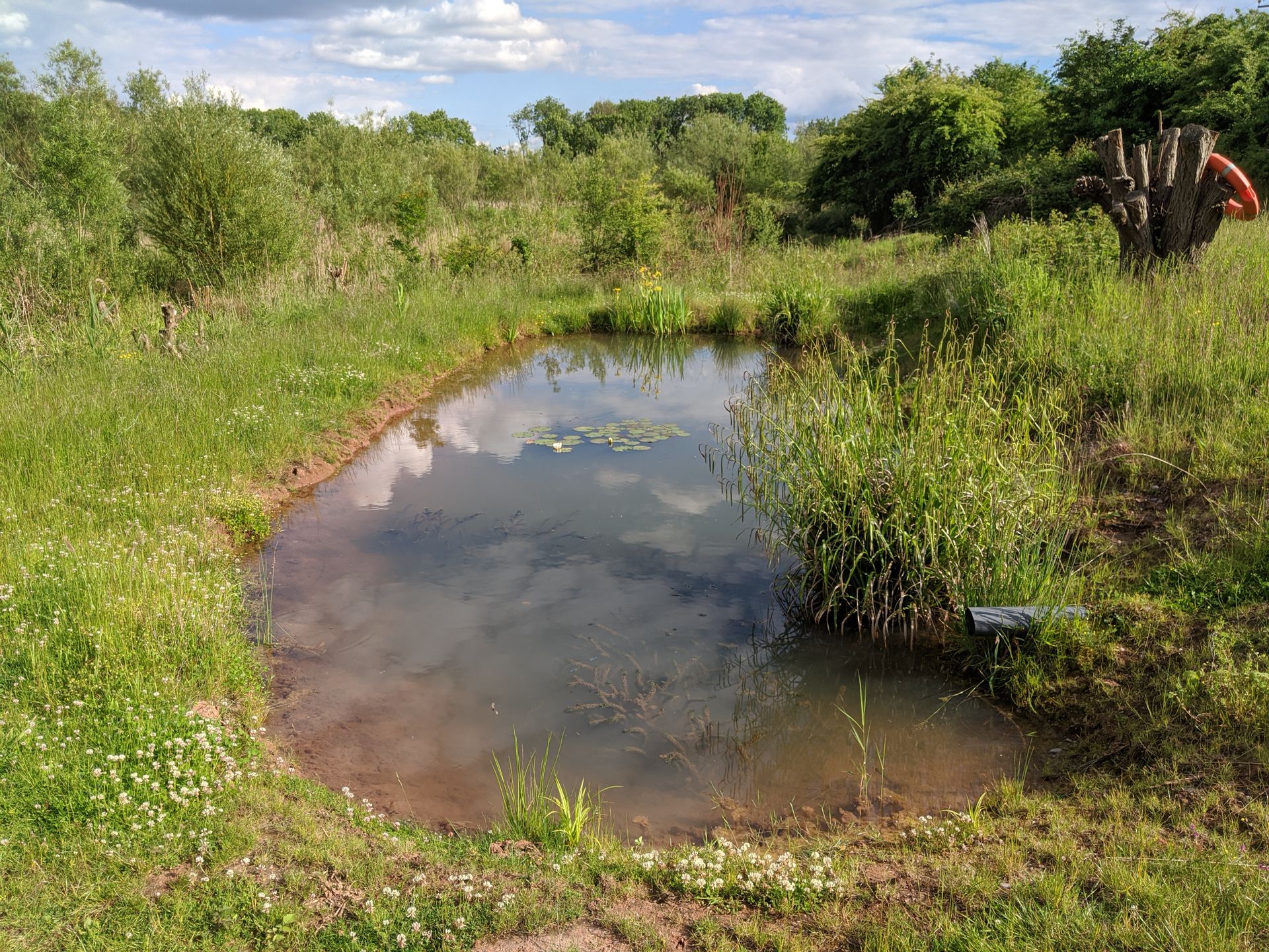 Wildgoose Rural Training & Nature Reserve | Worcester