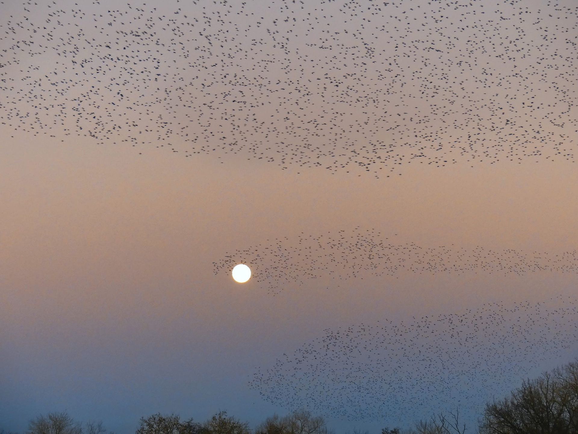 Wildgoose Rural Training & Nature Reserve | Worcester