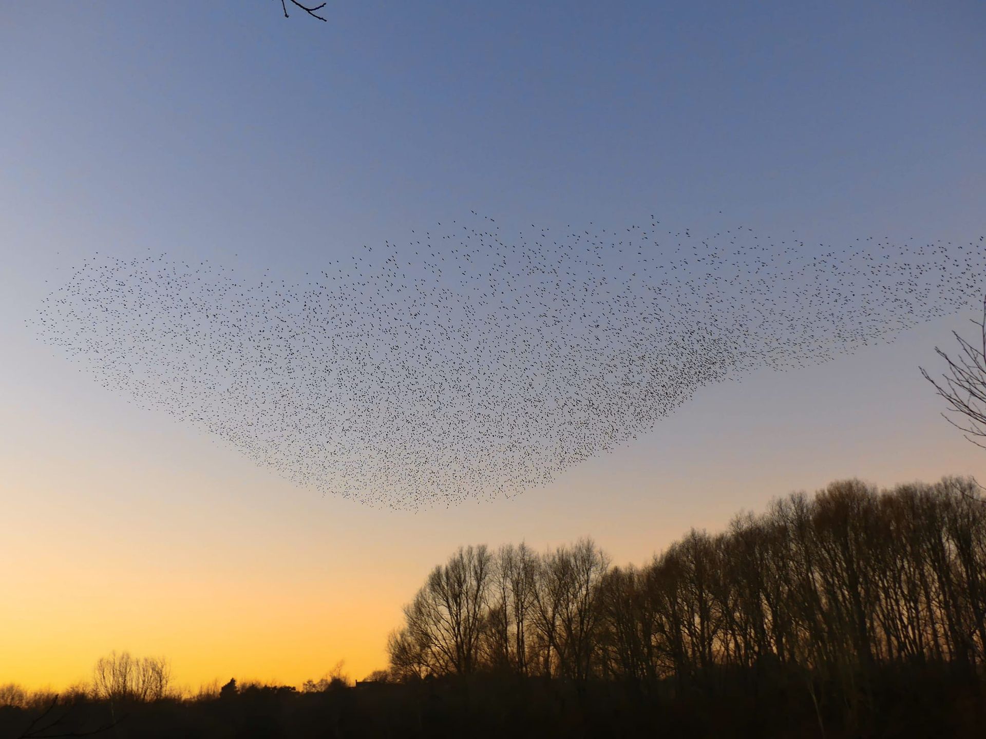 Wildgoose Rural Training & Nature Reserve | Worcester
