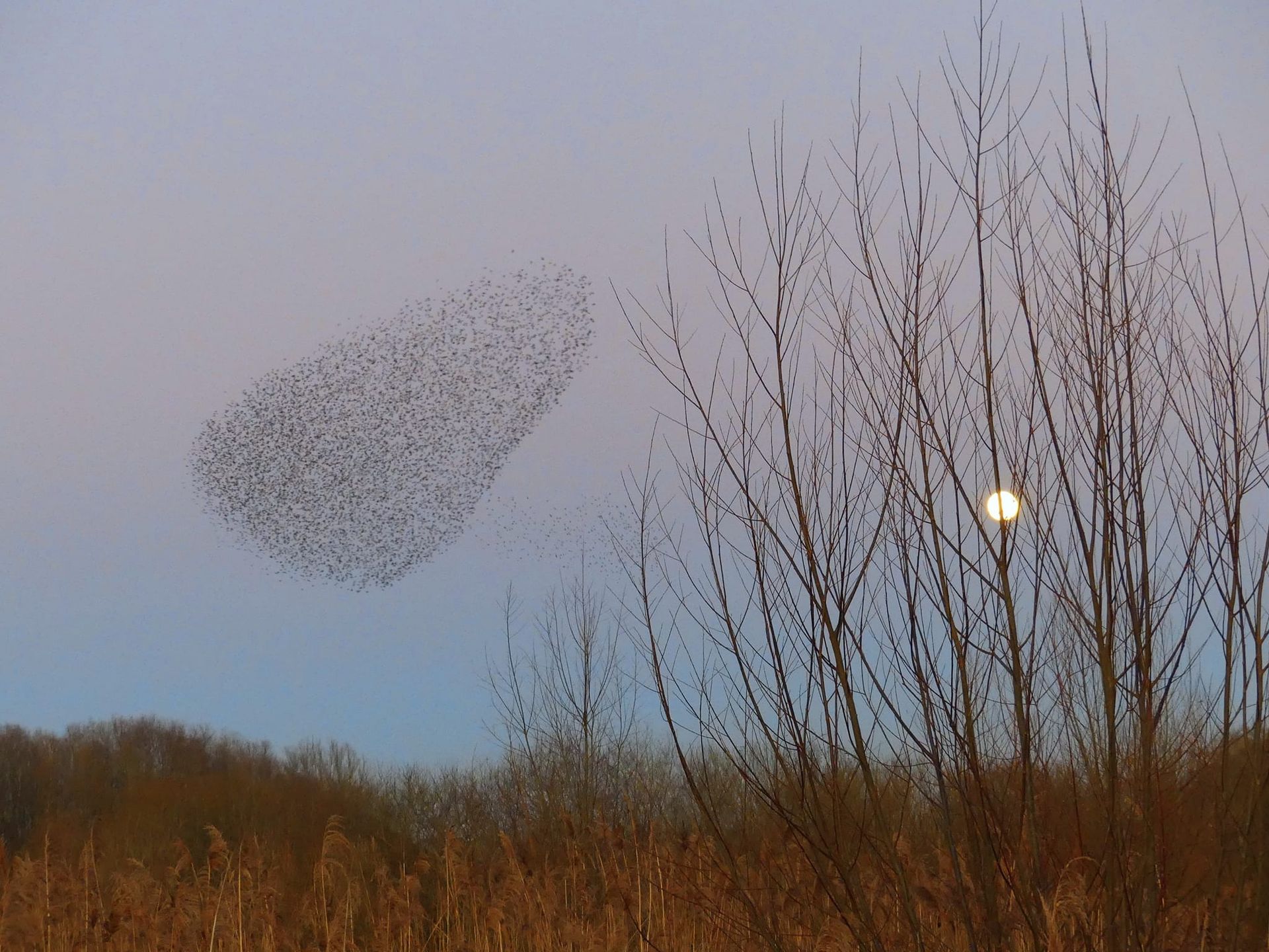 Wildgoose Rural Training & Nature Reserve | Worcester