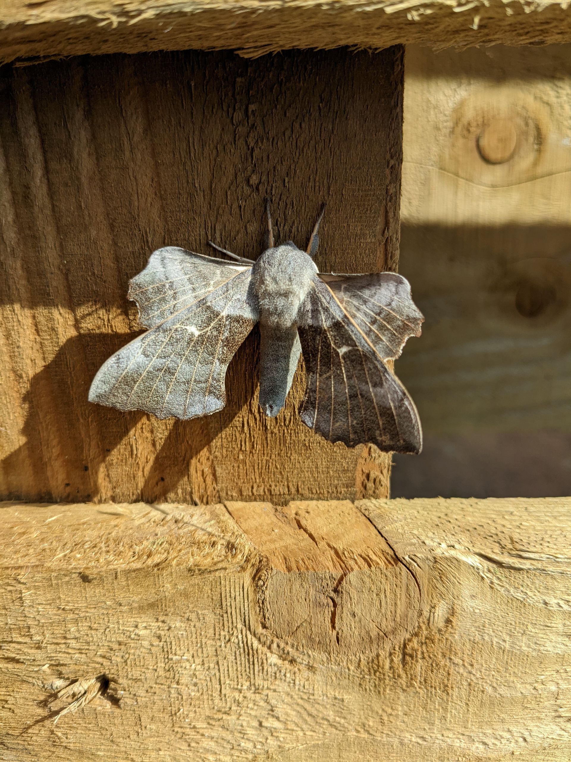 Wildgoose Rural Training & Nature Reserve | Worcester