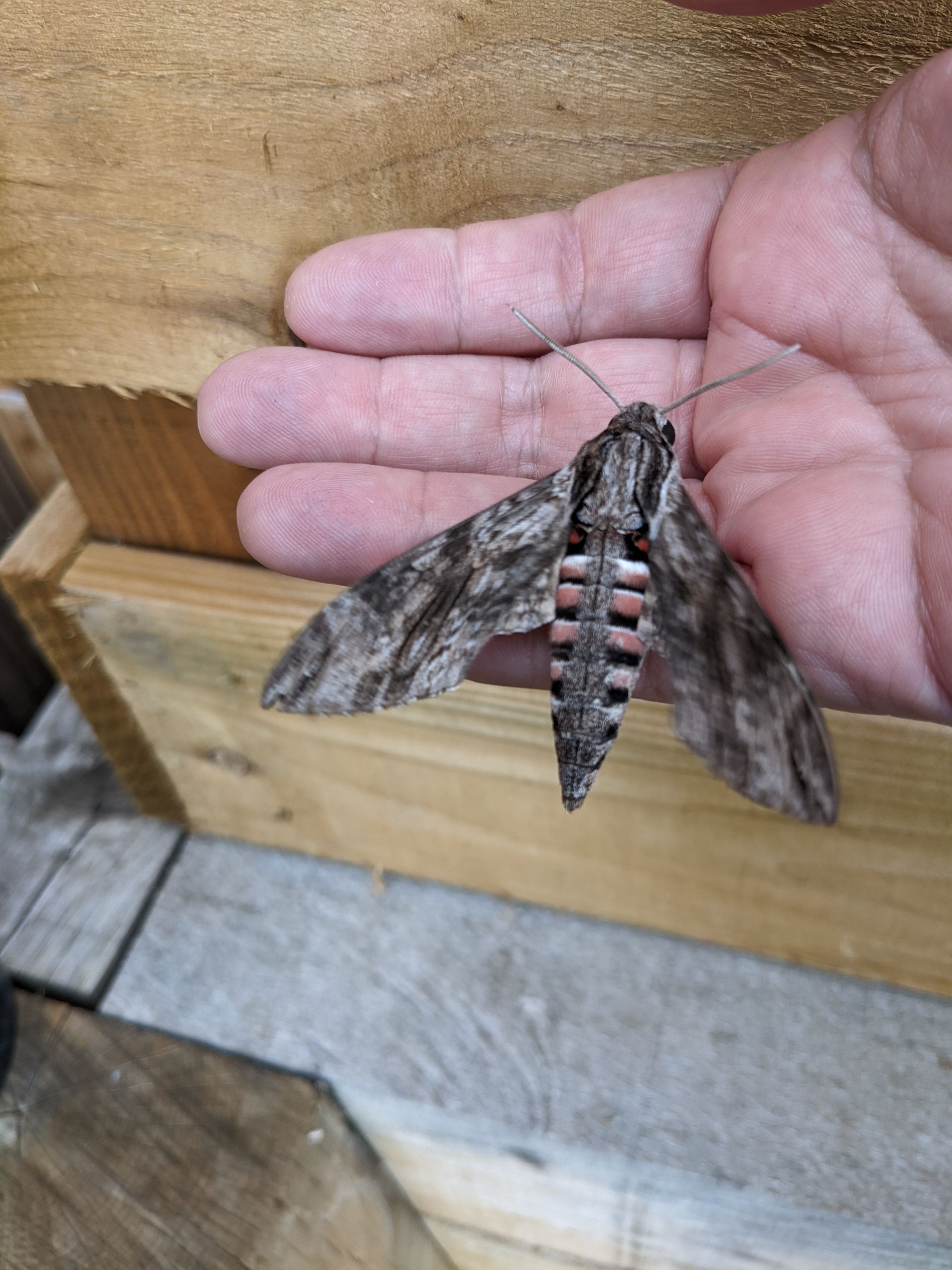 Wildgoose Rural Training & Nature Reserve | Worcester