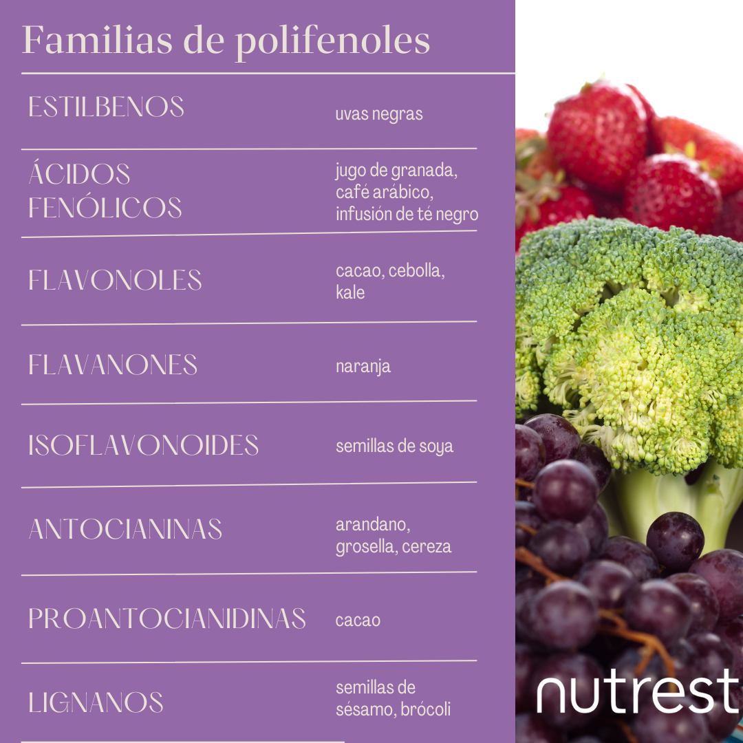 Beneficios de los polifenoles en el rendimiento deportivo