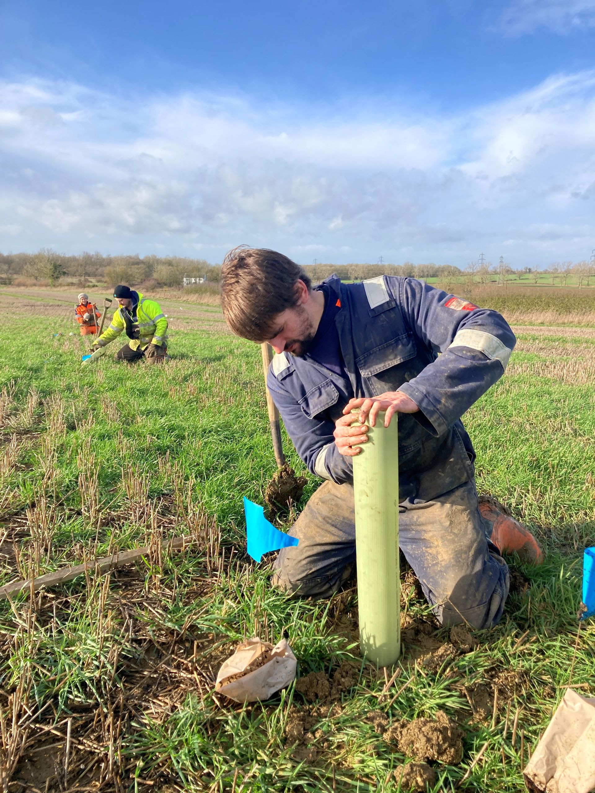First trees in pioneering agroforestry project planted at Spains Hall ...