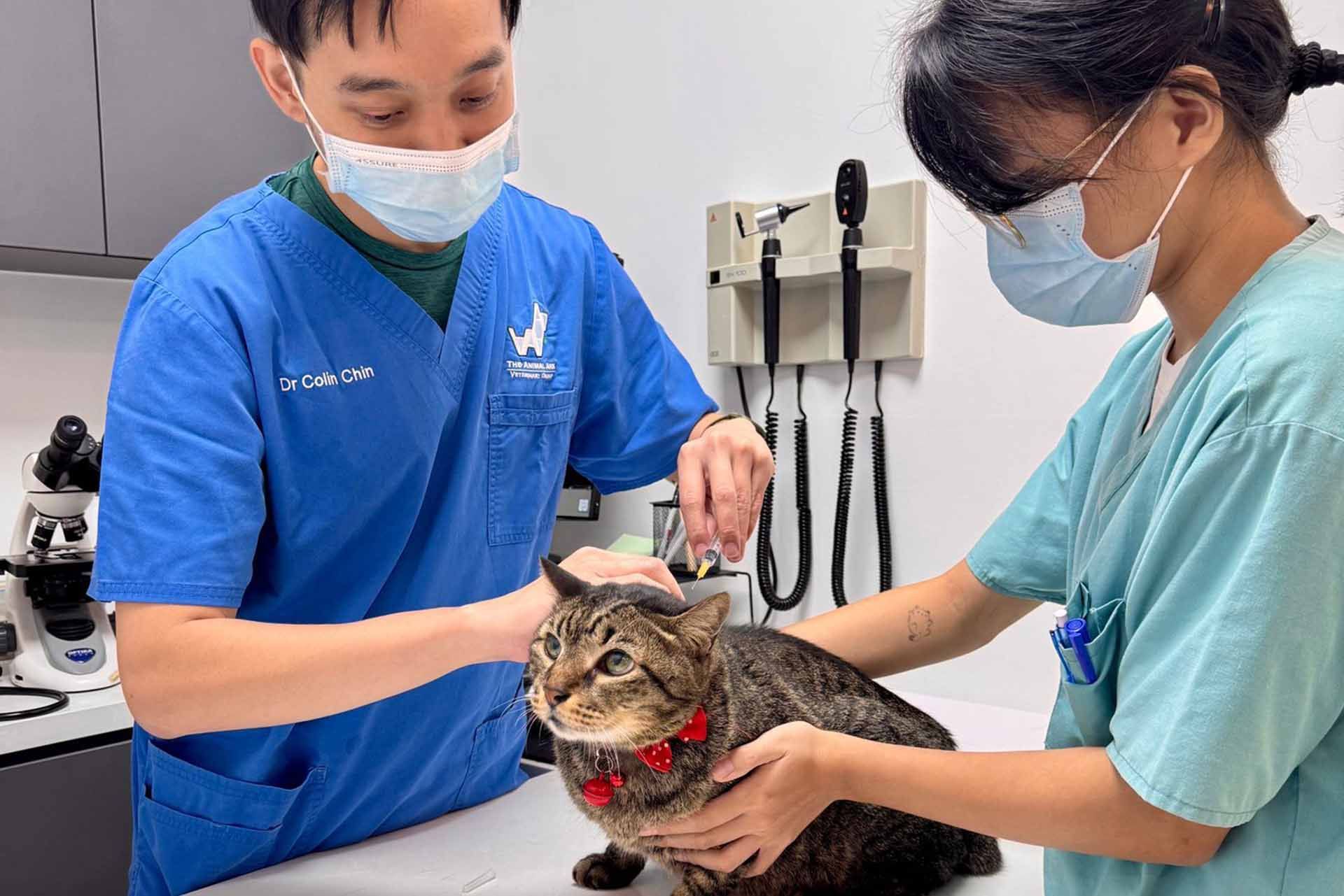 AVH Animal Ark Veterinary Group