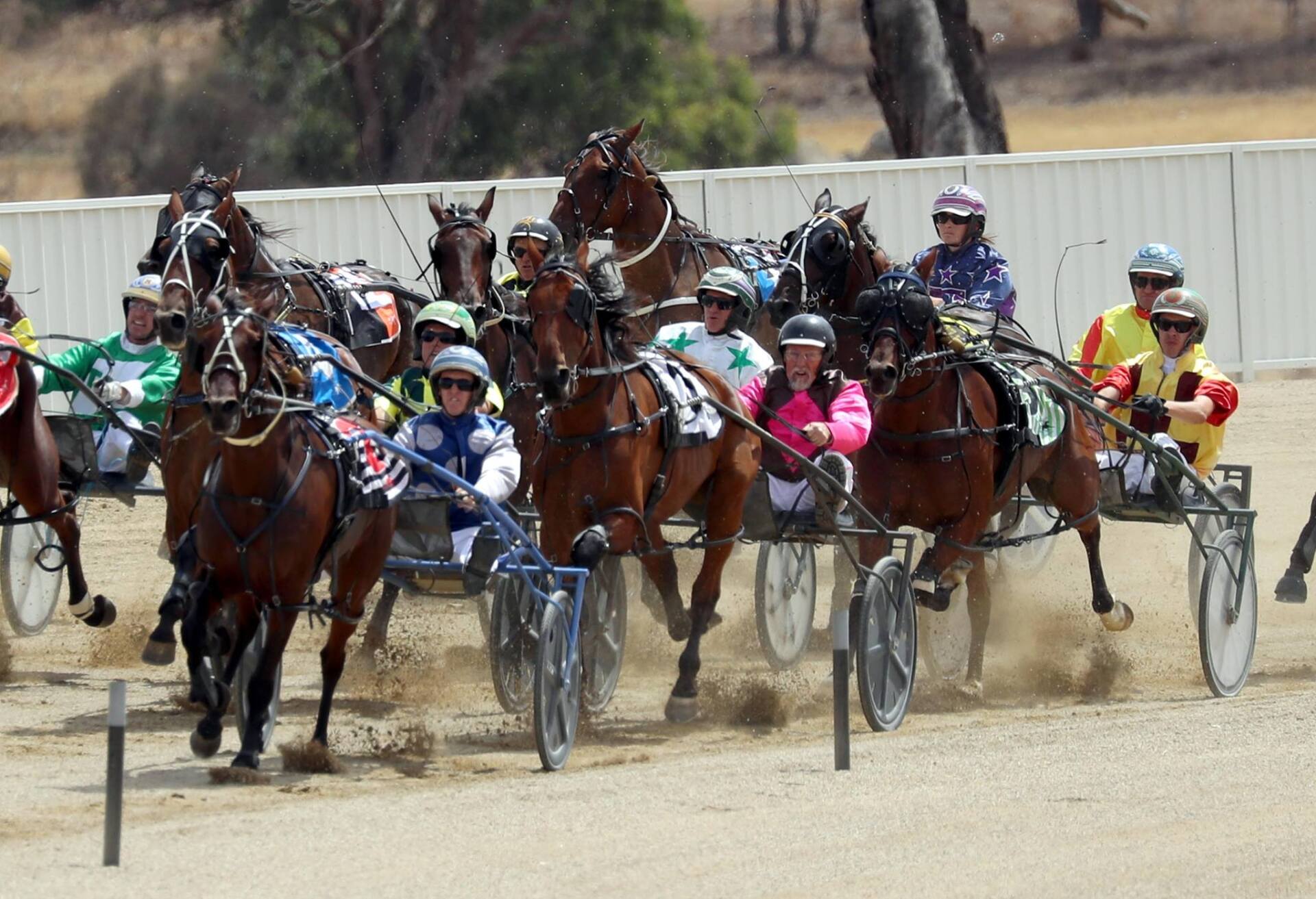 Riverina Paceway Club Information