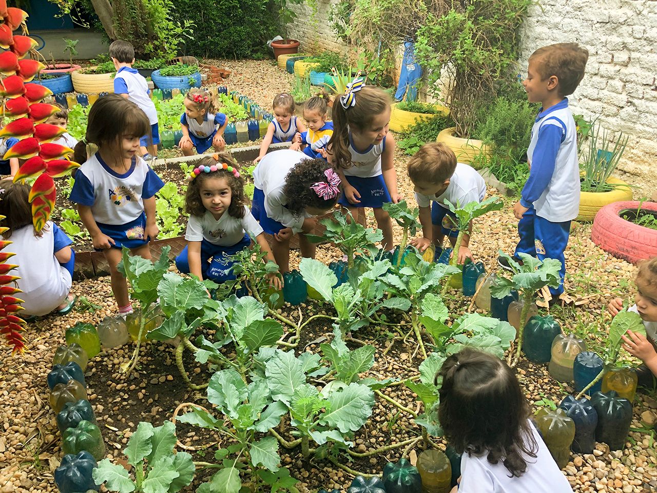 Equipe Escola Aquarela