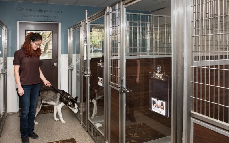ABC Pet Resort & Spa Gallery