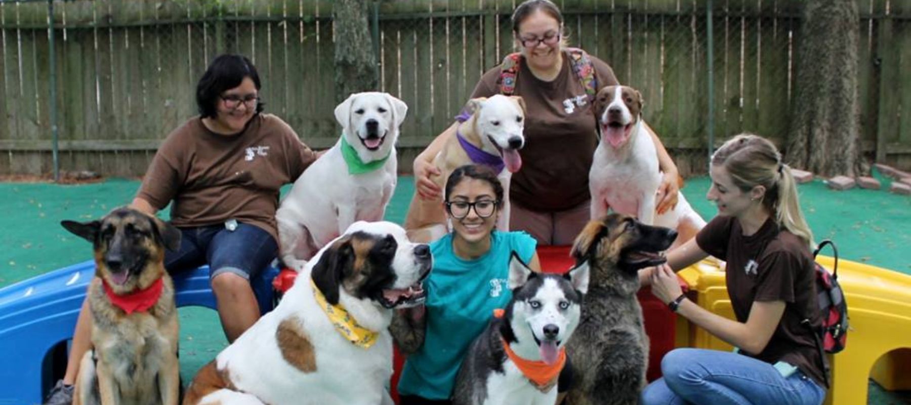 ABC Pet Resort & Spa Gallery