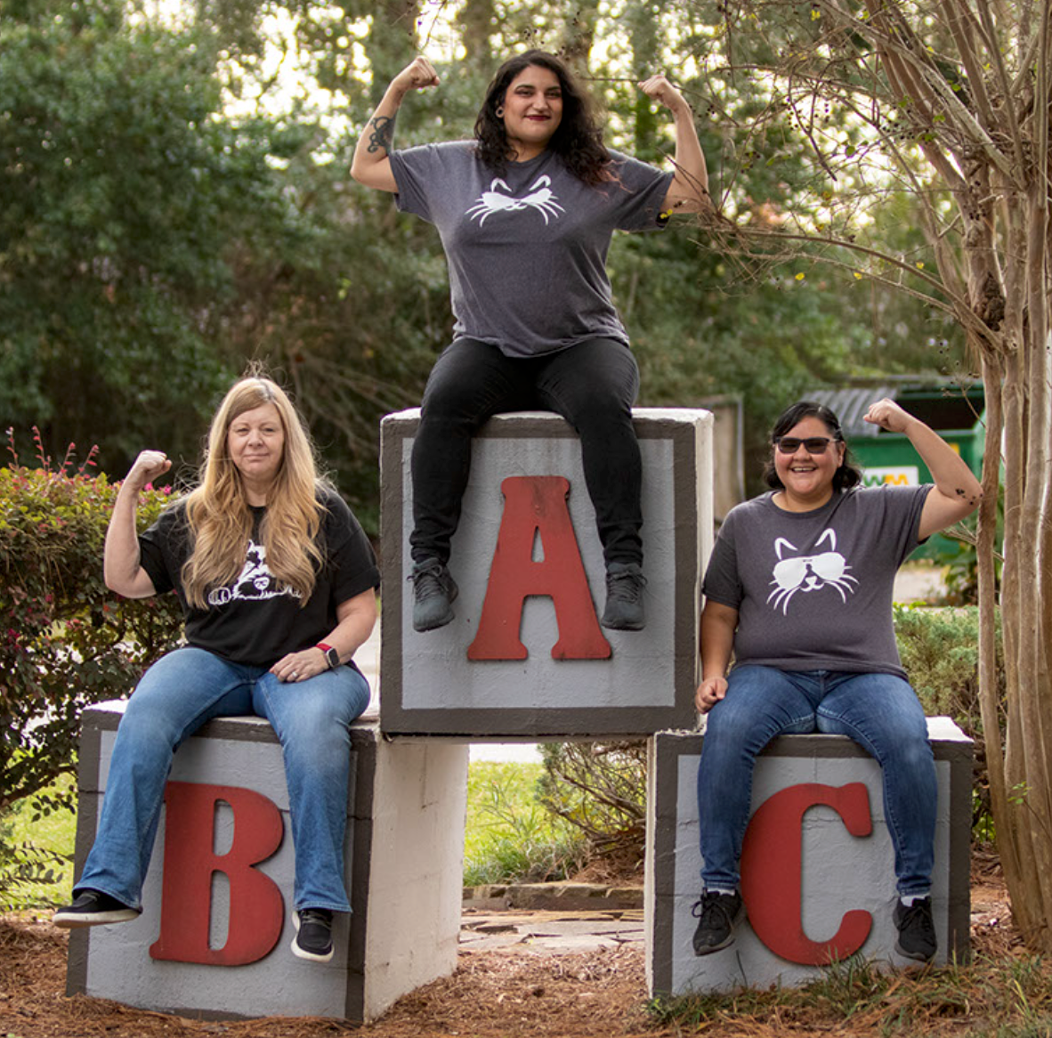 ABC Pet Resort & Spa Gallery