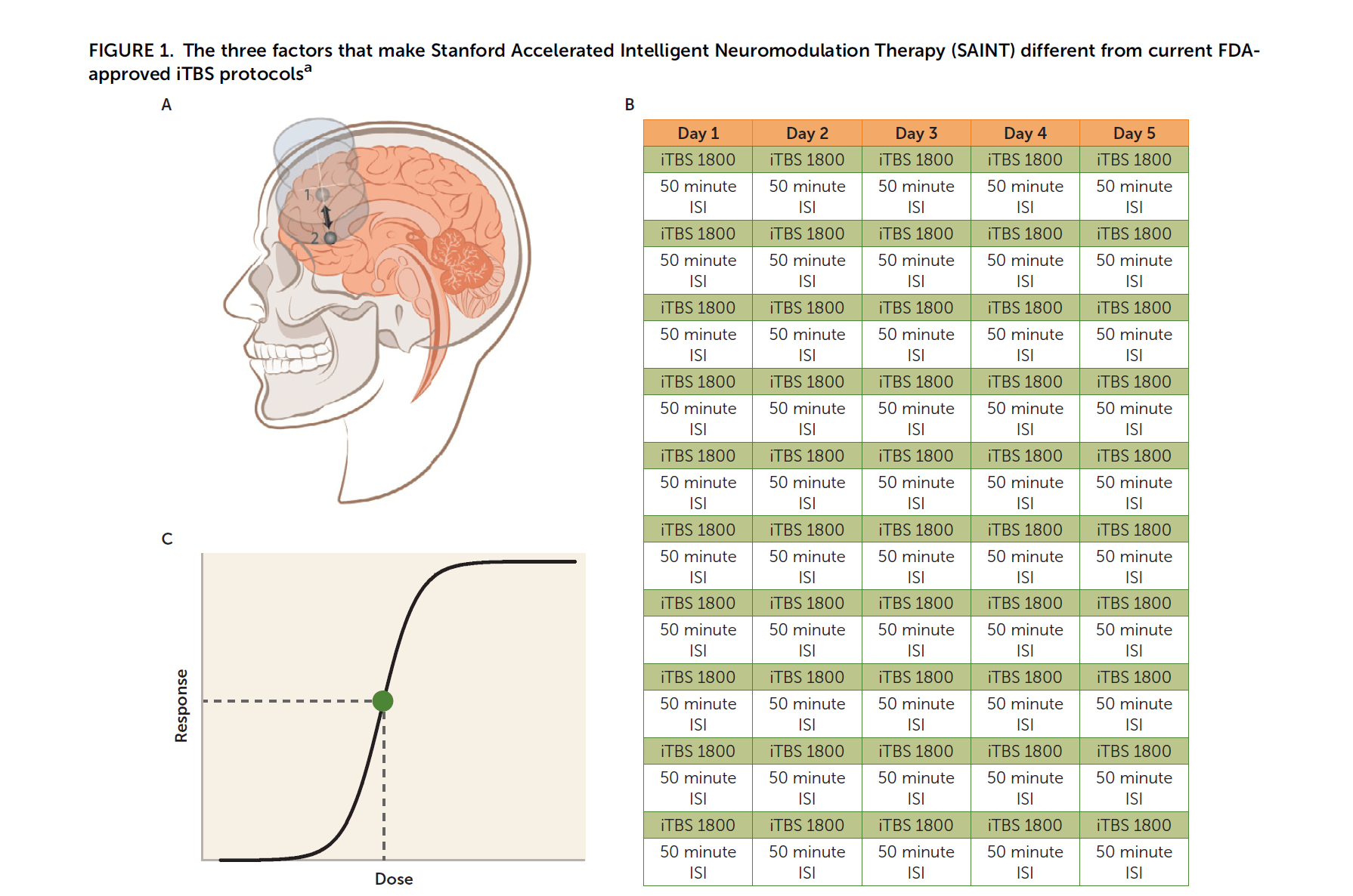 SAINT TMS | FDA Cleared Accelerated TMS Protocol