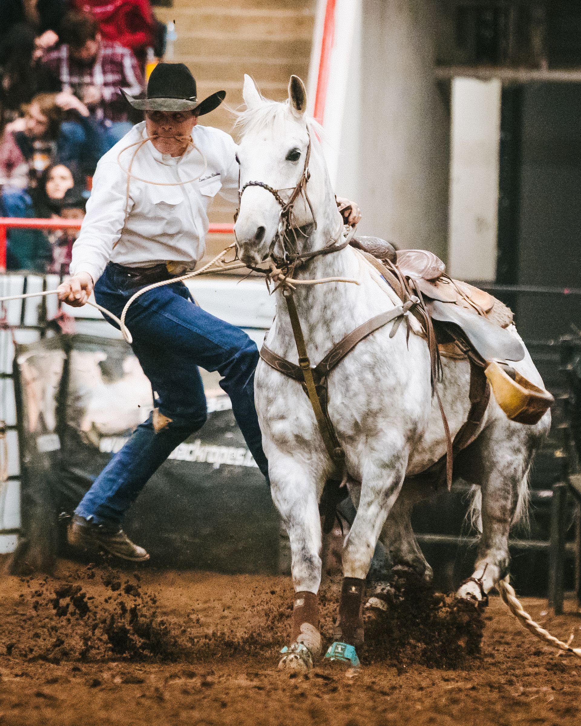Rodeo Entertainment | Lone Star Rodeo | United States