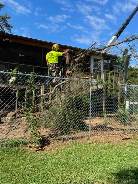 Vickers Tree Service | #1 Tree Service in Golden Triangle MS