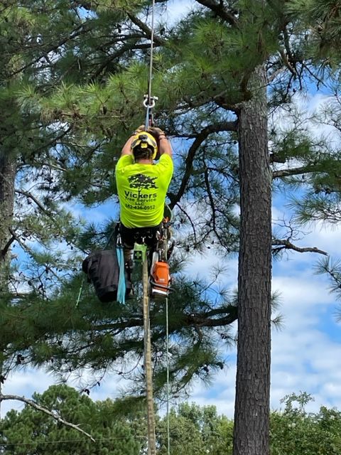 Vickers Tree Service | #1 Tree Service in Golden Triangle MS