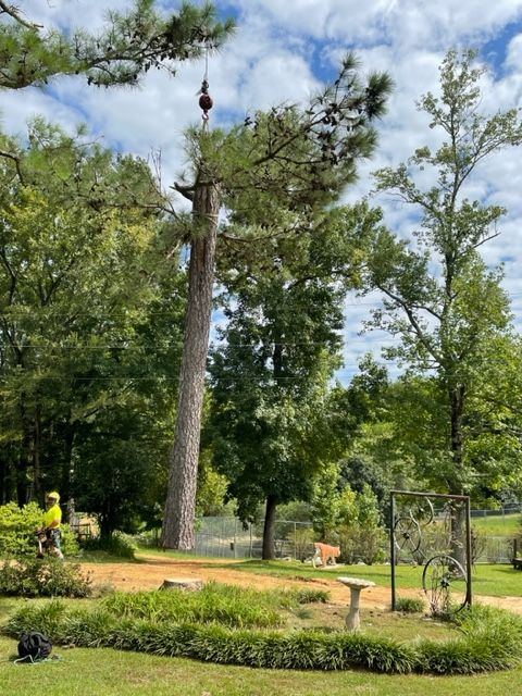 Vickers Tree Service | #1 Tree Service in Golden Triangle MS