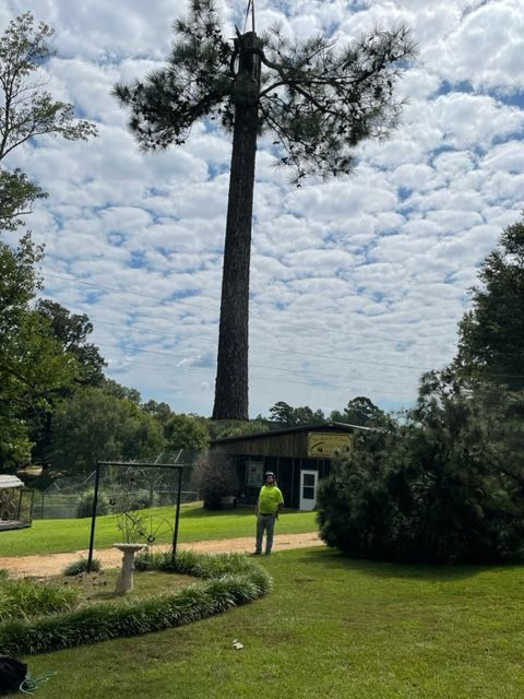 Vickers Tree Service | #1 Tree Service in Golden Triangle MS
