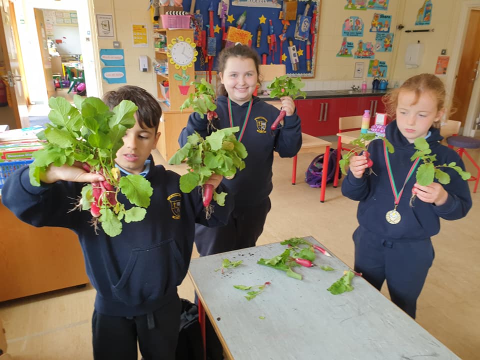 Killasser National School | Swinford Co. Mayo