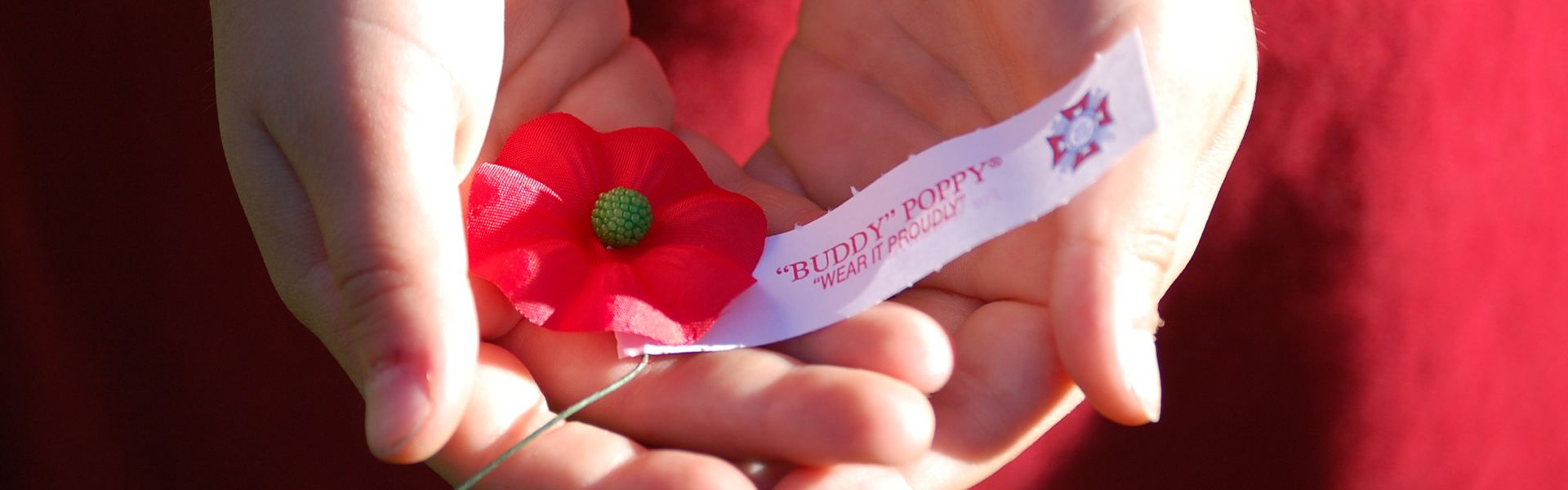 Buddy Poppy Program | Waverly VFW Post 1272