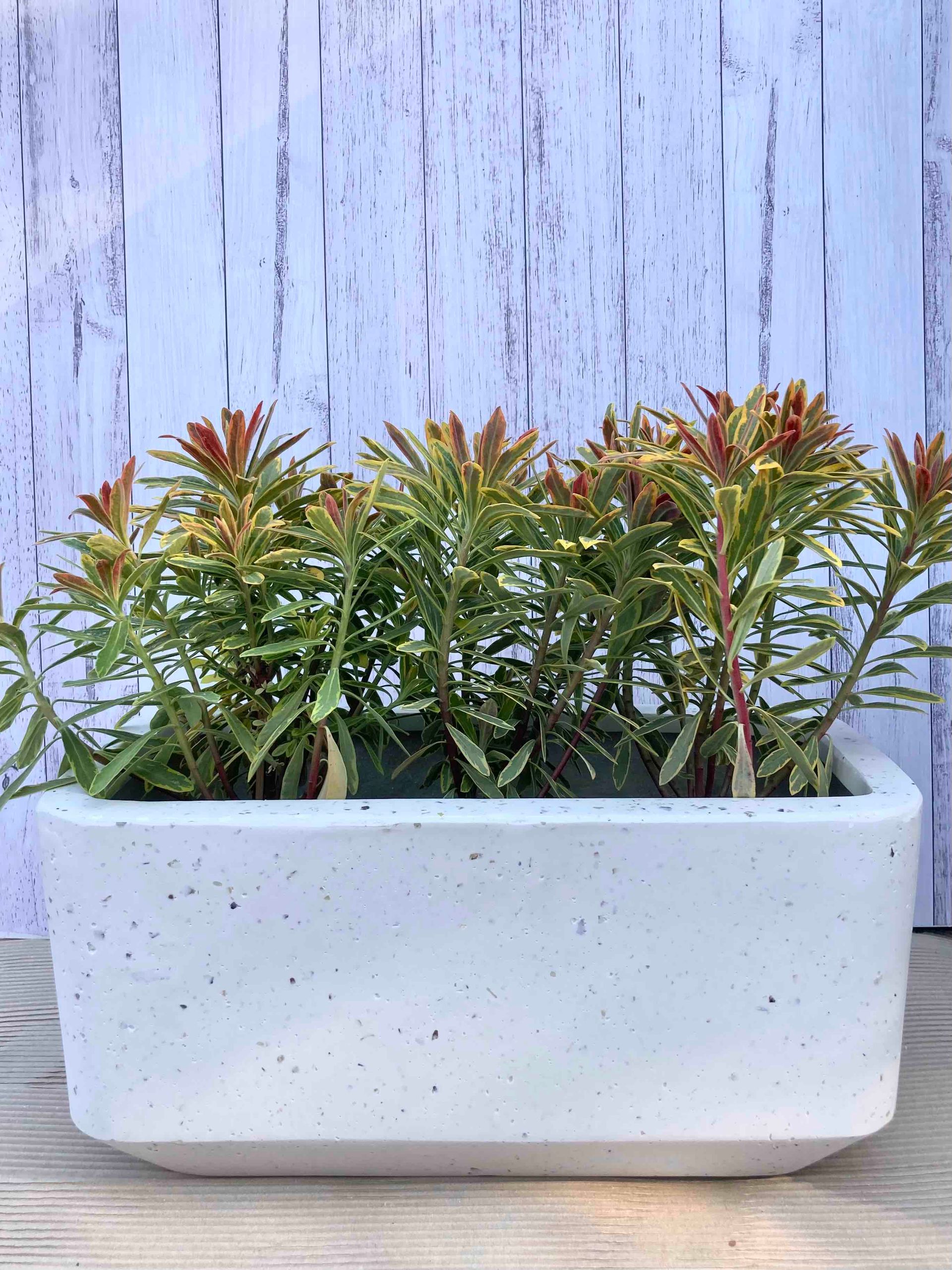 Pots Statues and Birdbaths - Timbaranursery.com.au