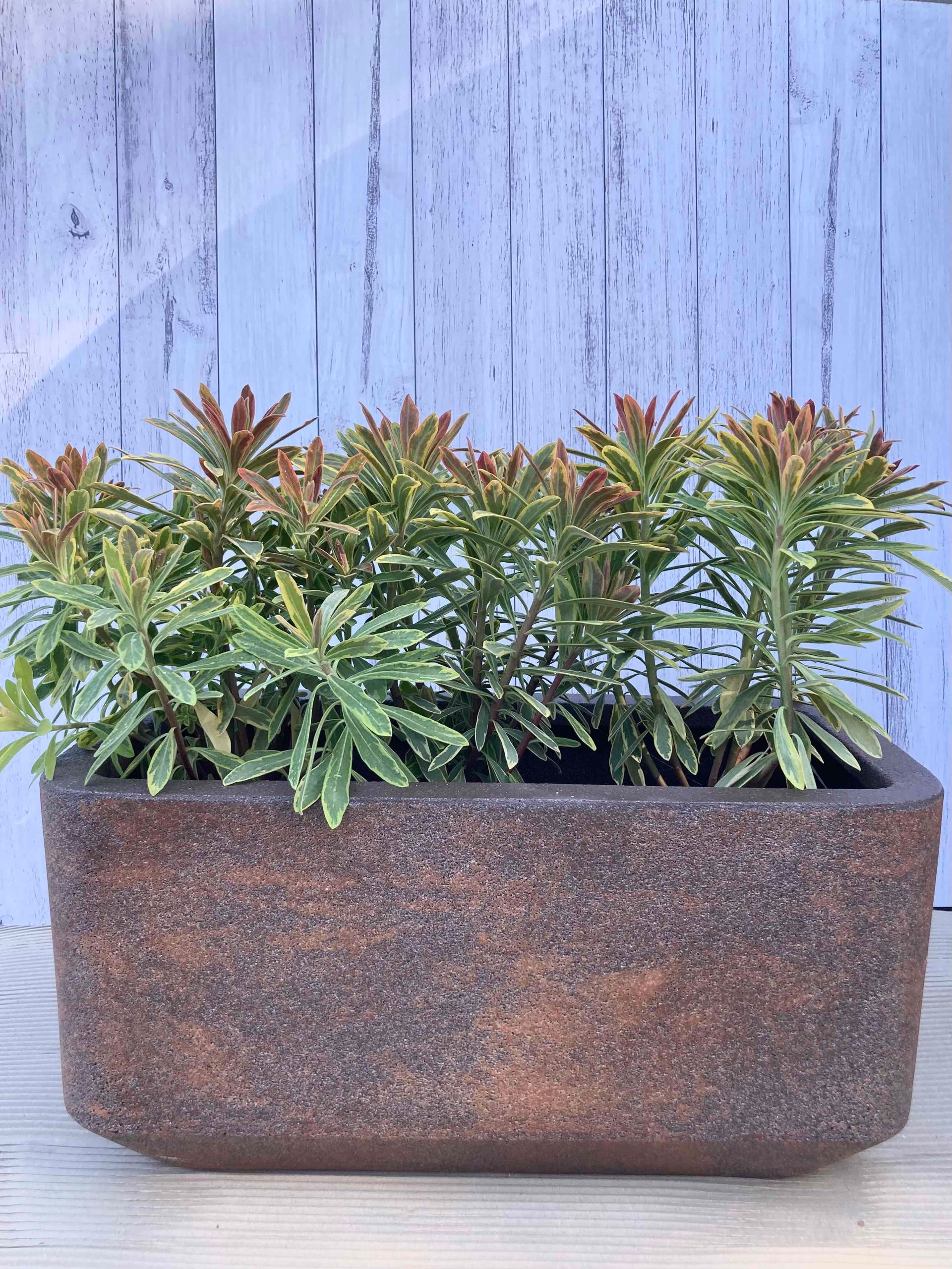 Pots Statues and Birdbaths - Timbaranursery.com.au