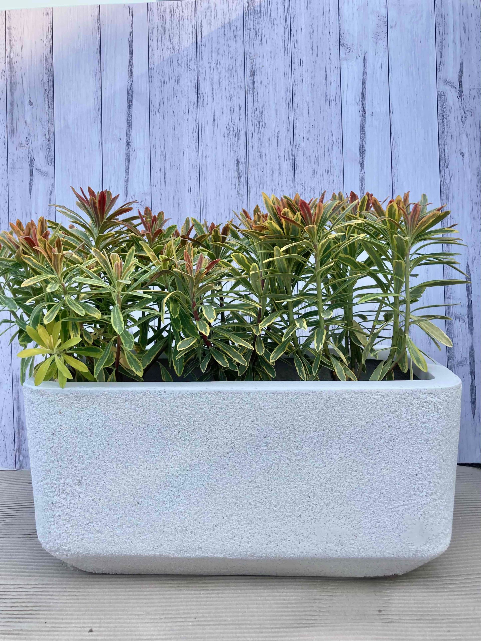 Pots Statues and Birdbaths - Timbaranursery.com.au