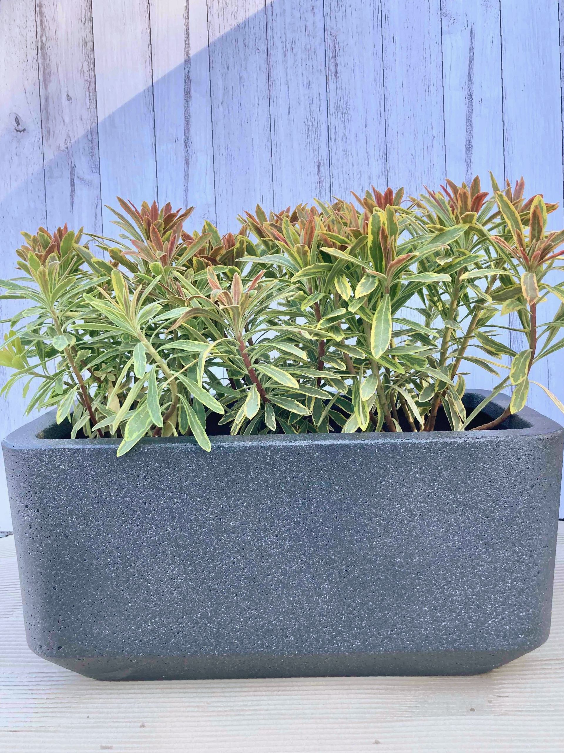 Pots Statues and Birdbaths - Timbaranursery.com.au