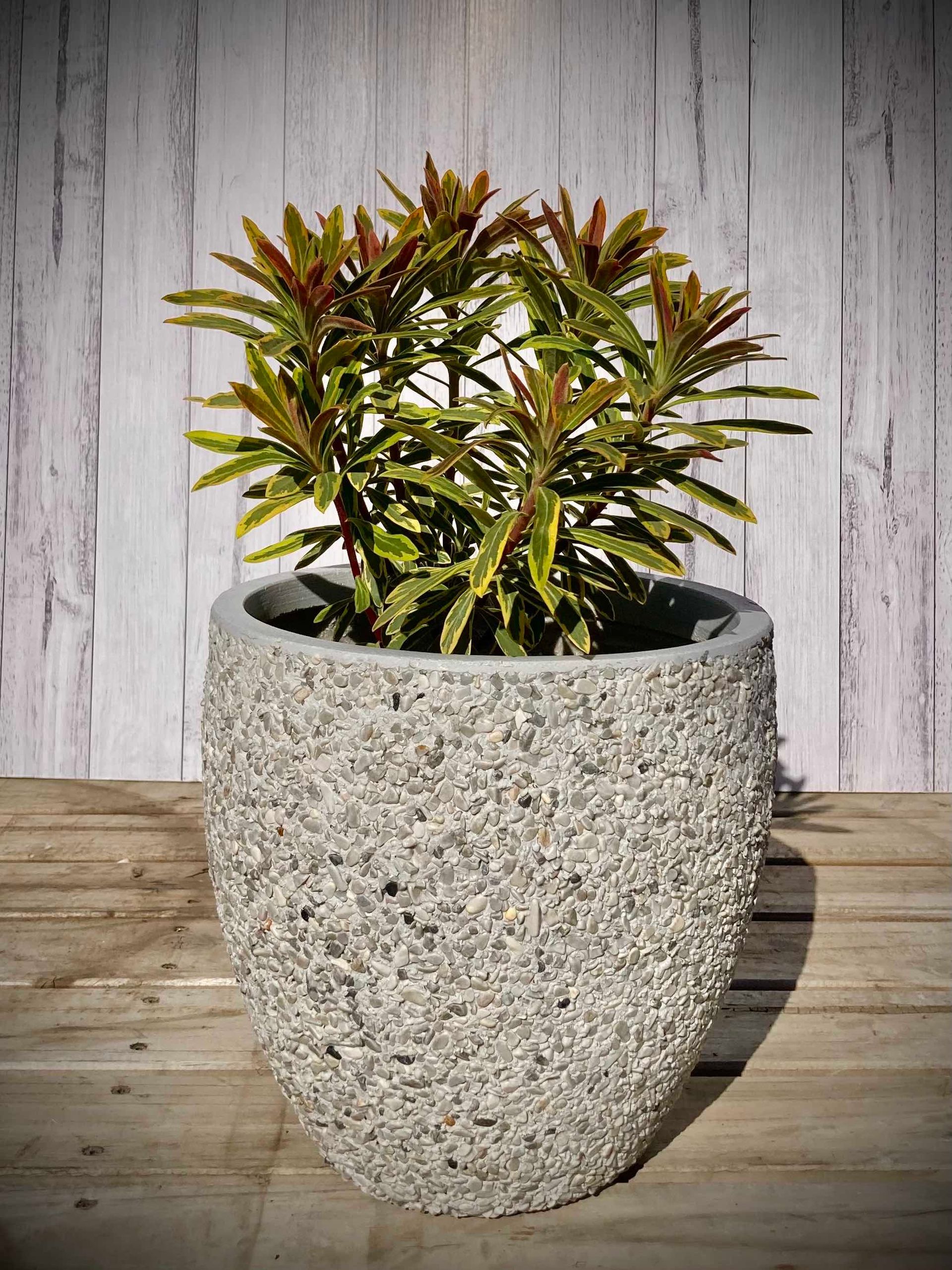 Pots Statues and Birdbaths - Timbaranursery.com.au