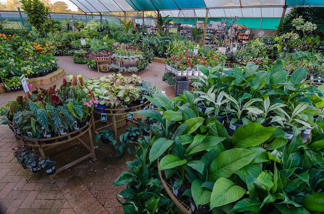 Gallery - Timbaranursery.com.au