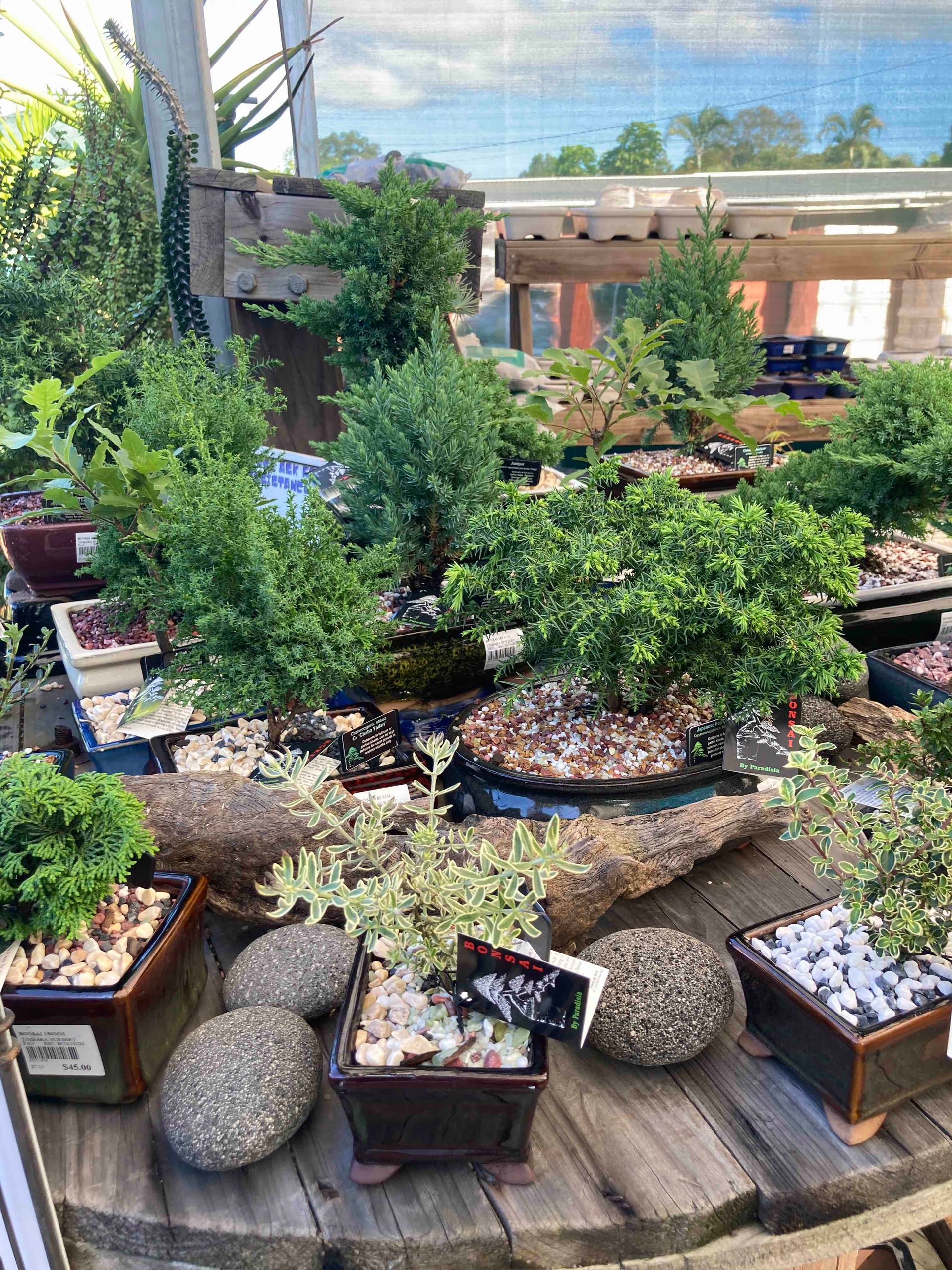 Timbara Garden Centre