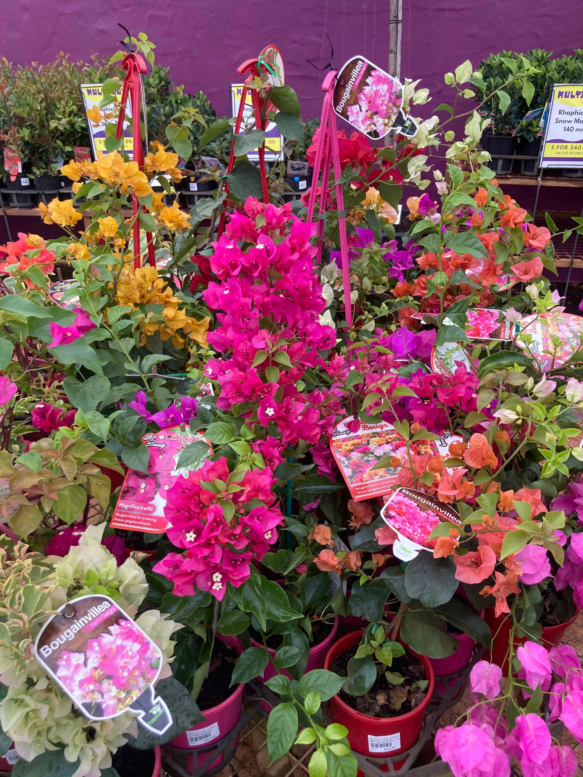 Timbara Garden Centre