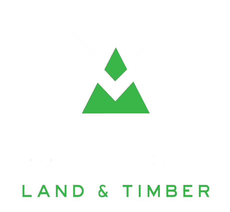 Timber Services | Moore Land & Timber | Mount Enterprise, TX