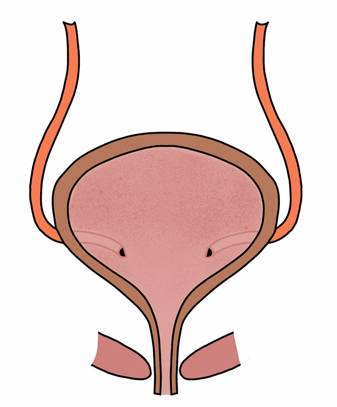 MANAGE: Bladder urgency