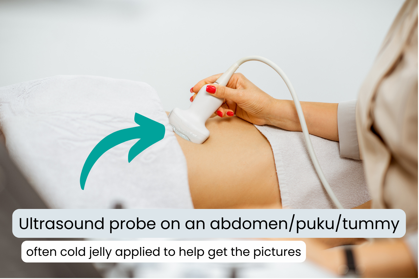 INVESTIGATION: USS Pelvic Ultrasound Scans