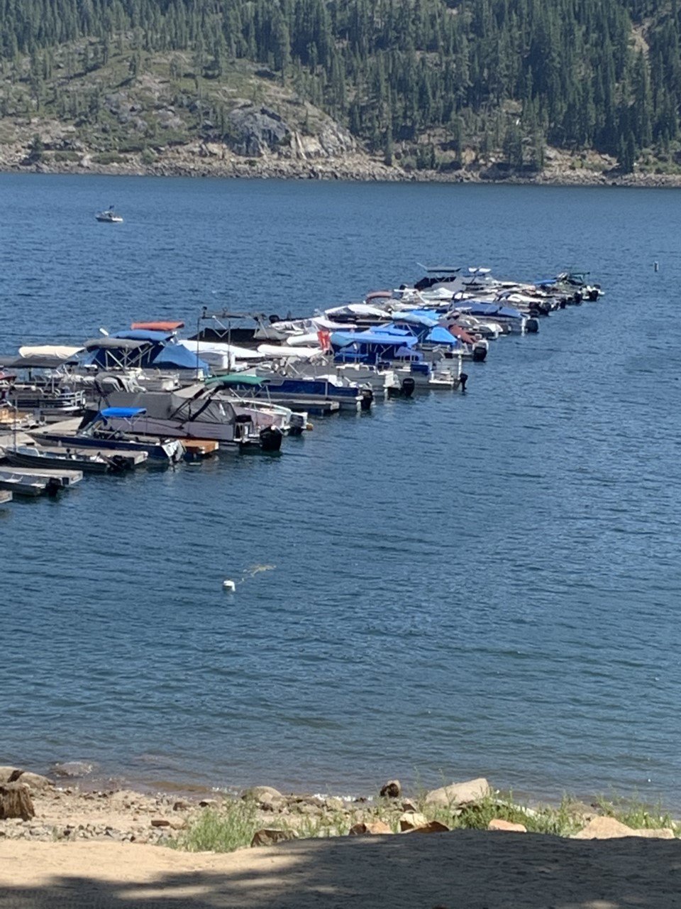 Gallery | Bear River Lake Resort