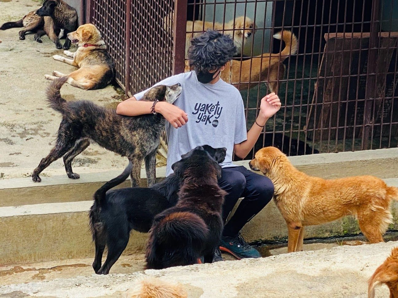 What Is the Most Common Type of Community Service?