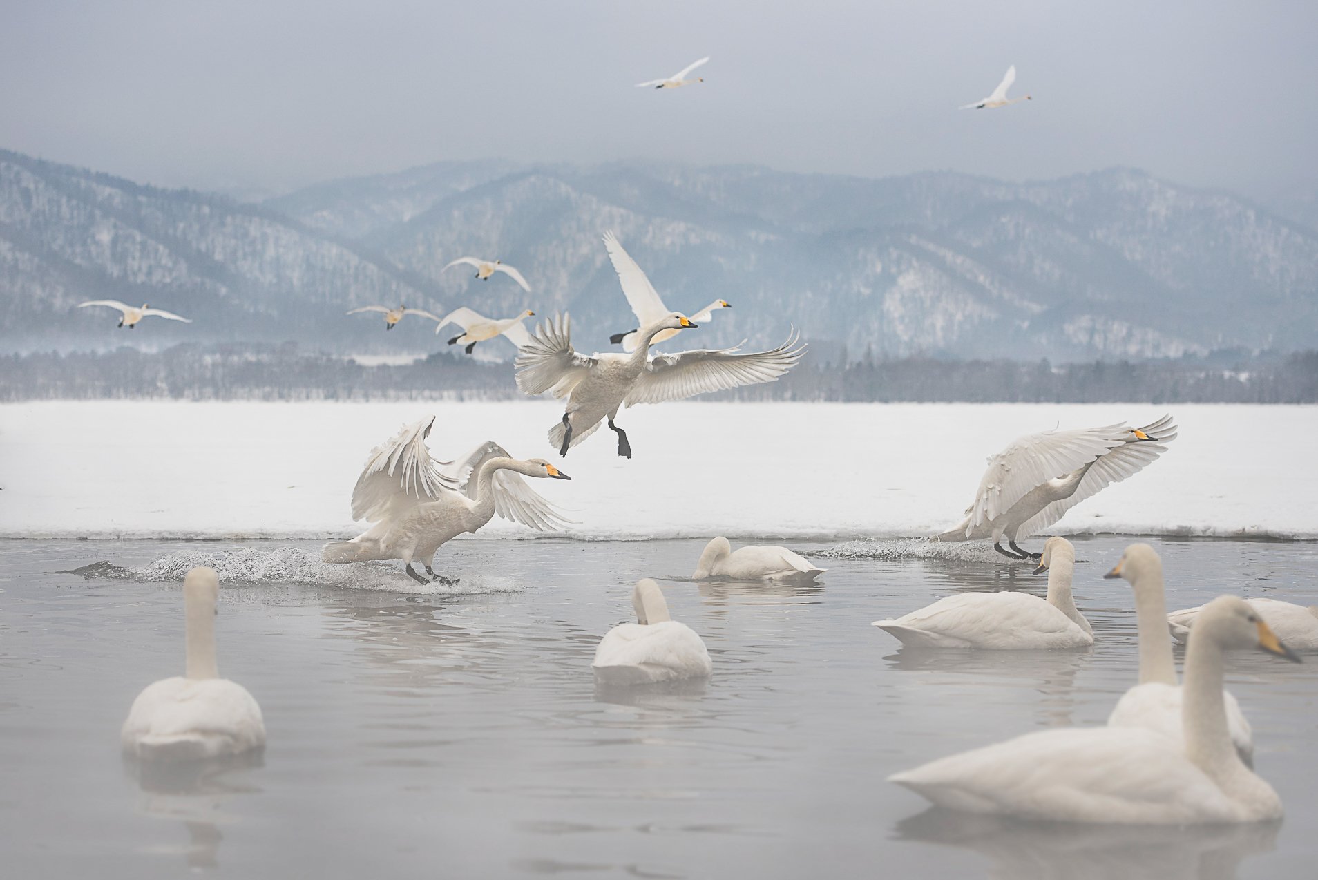 Bruna Photography | Dancing In The Wind