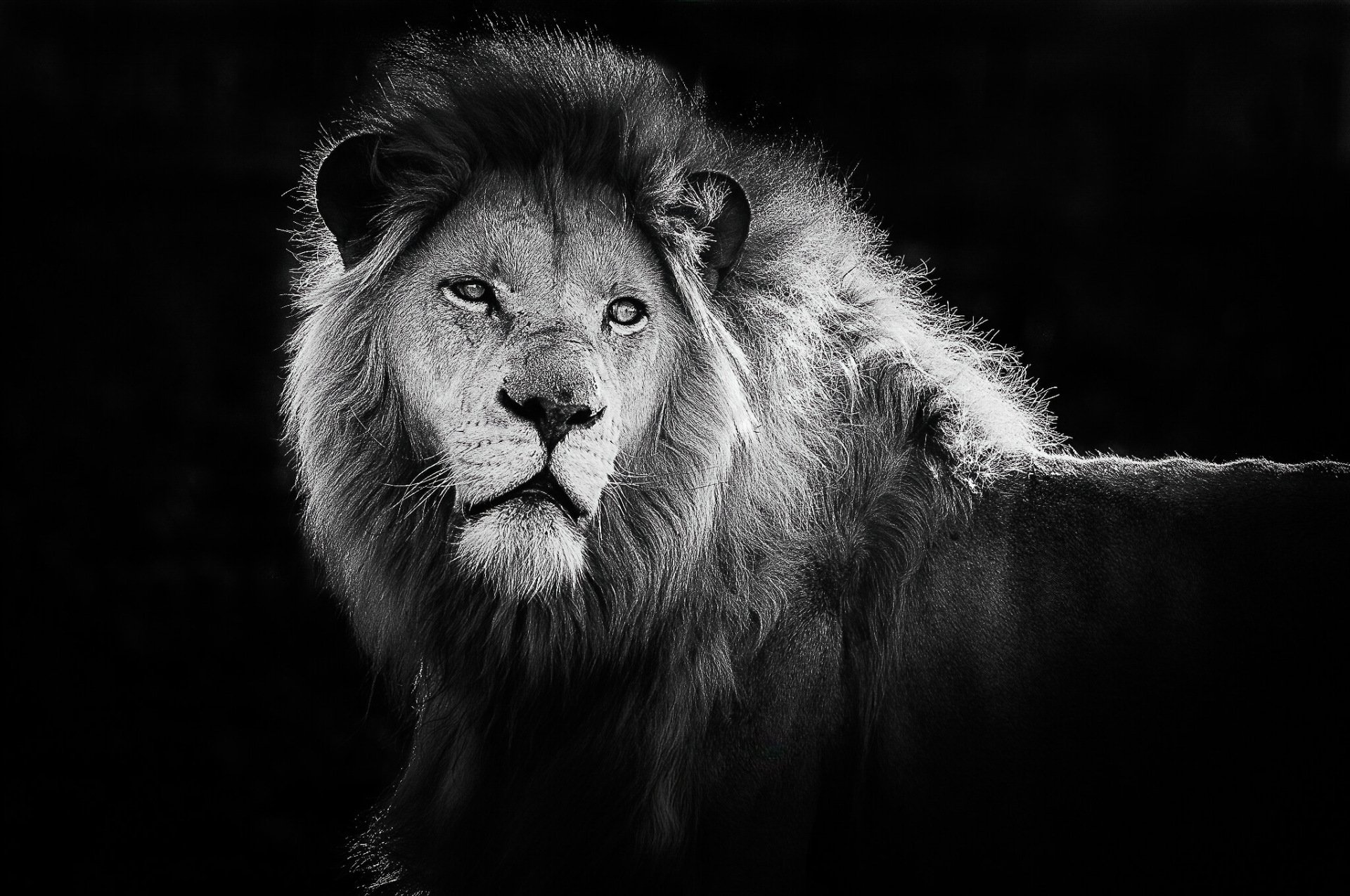 Bruna Photography | Shades of Grey