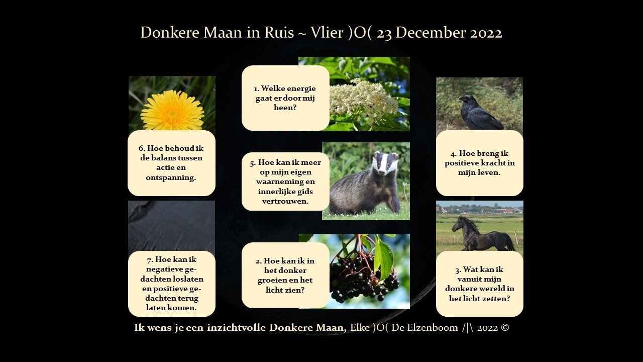 De Elzenboom