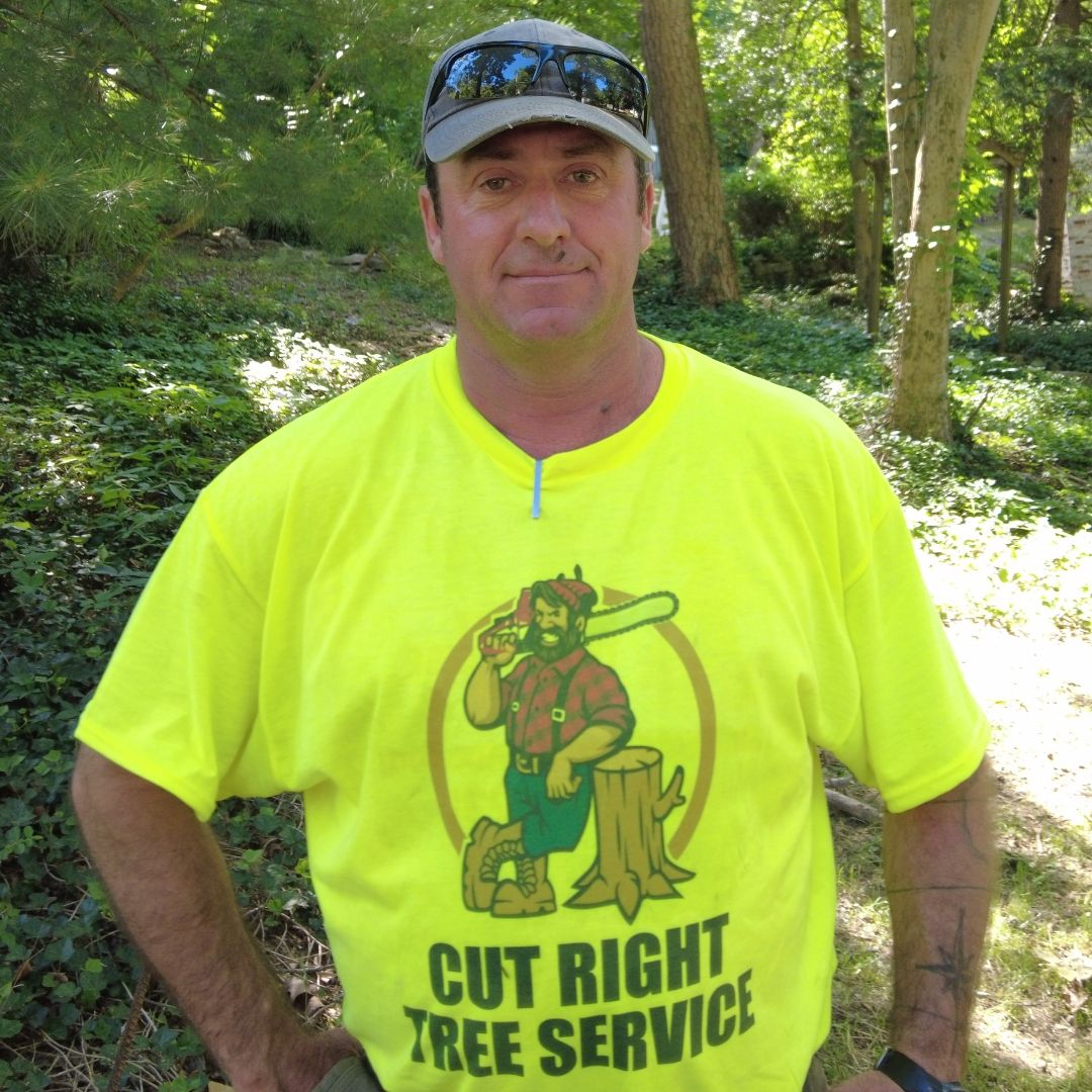 About Cut Right Tree Service | Chattanooga TN